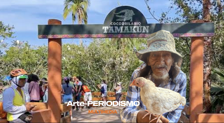 Tamakún quiere su foto en el cocodrilario de playa Linda • Arte ...